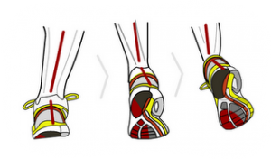 Pisada: Pronador, supinador o neutro - Soy Deporte