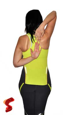 Test Back Scratch - Soy Deporte